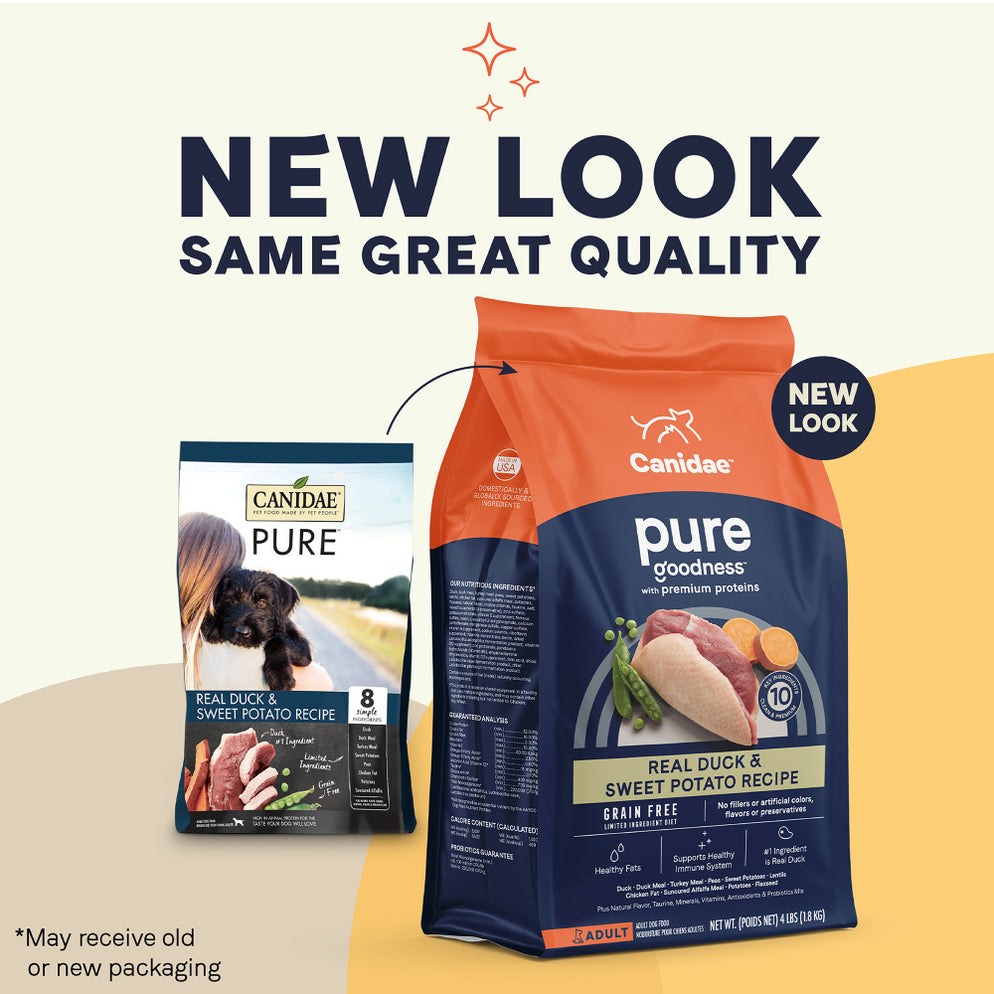 Canidae Pure Goodness Real Duck & Sweet Potato Recipe Adult Dry Dog Fo ...