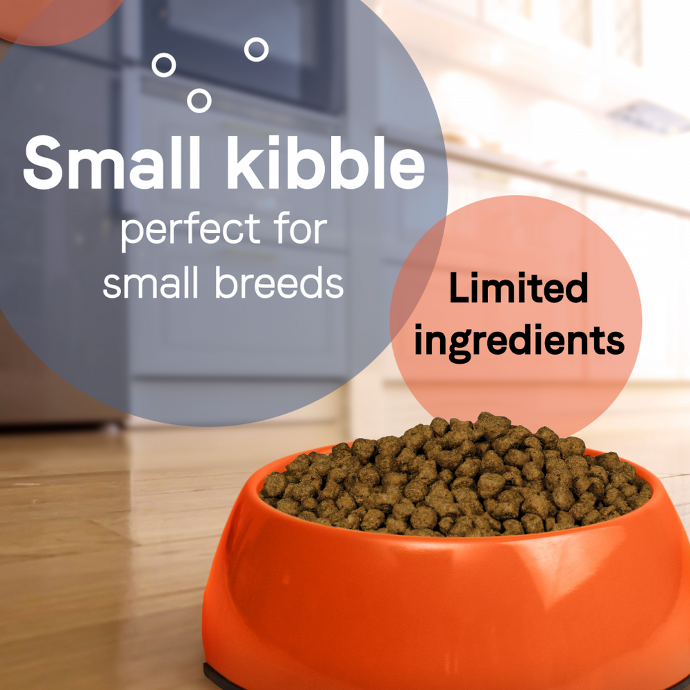 Canidae PURE Petite Small Breed Chicken Recipe Raw Coated Dry Dog Food ...