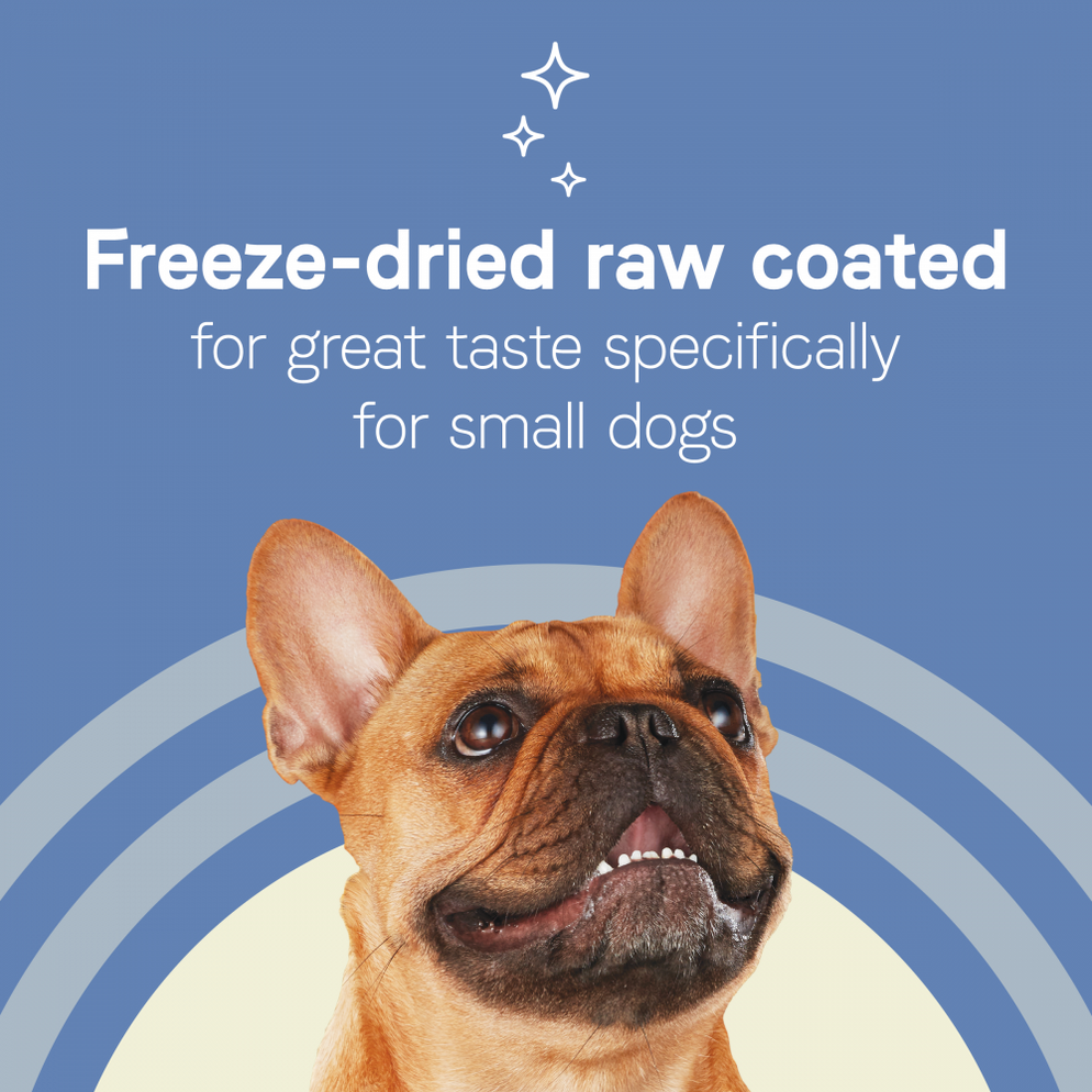 Canidae PURE Petite Small Breed Chicken Recipe Raw Coated Dry Dog Food ...