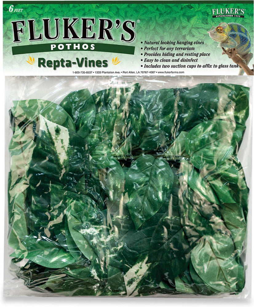 Fluker's Repta Vines Pothos — AZ Pet Foods