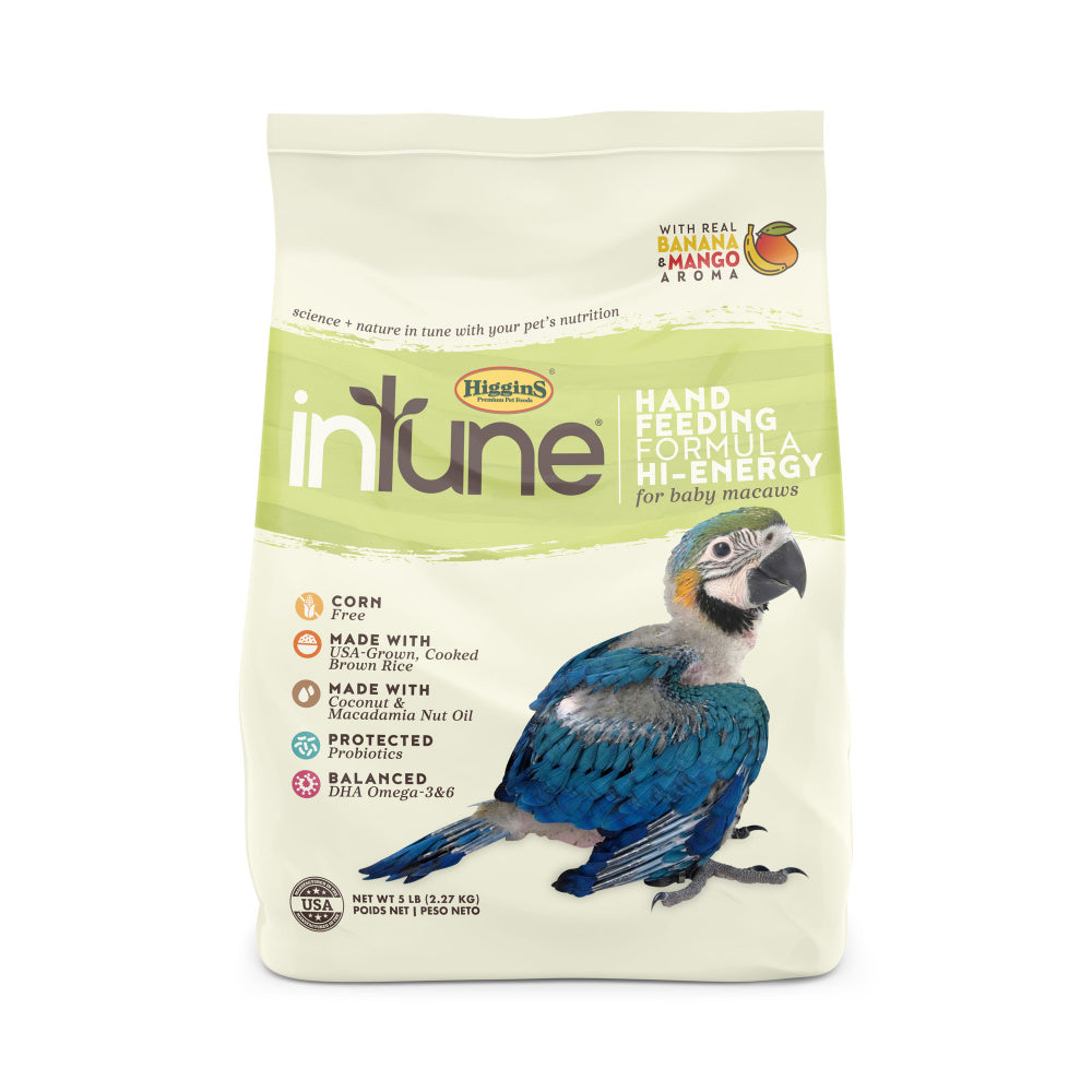 Higgins inTune Hand Feeding Formula High Energy Baby Bird Food — AZ Pet ...